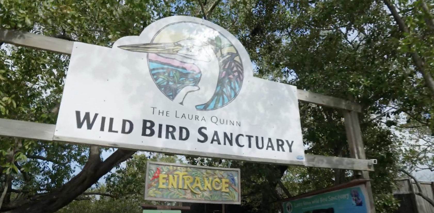 Inside the Laura Quinn Wild Bird Sanctuary: A Second Chance for Injured Birds in the Florida ...
